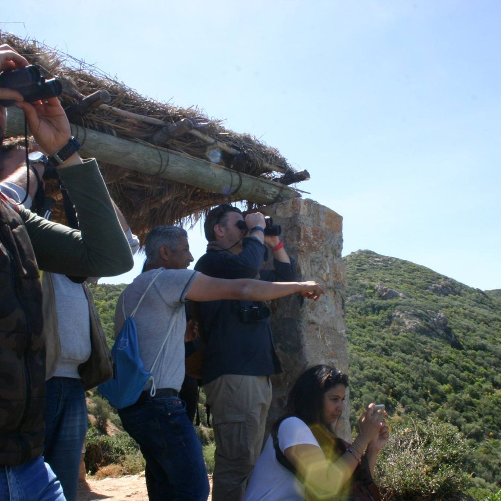 Projects – Tunisia Ecotourism